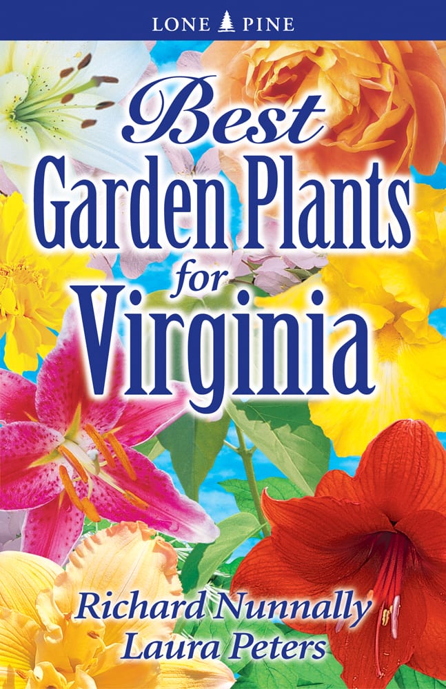 Best Outdoor Plants For Virginia at John Lurie blog